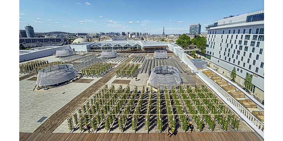 Takagreen - Agripolis : agriculture urbaine pour entreprises et ...